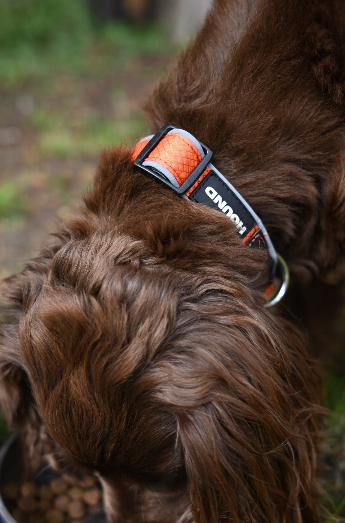 HOUND | Canine Outdoor Gear